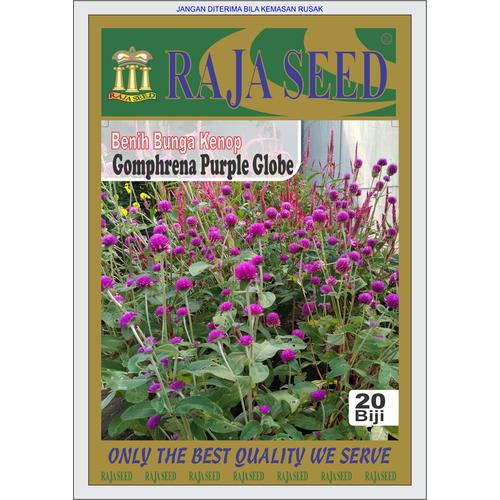 Jual Benih Bunga Kenop (Gompherna Purple Globe) isi 20 Biji - Raja Seed ...