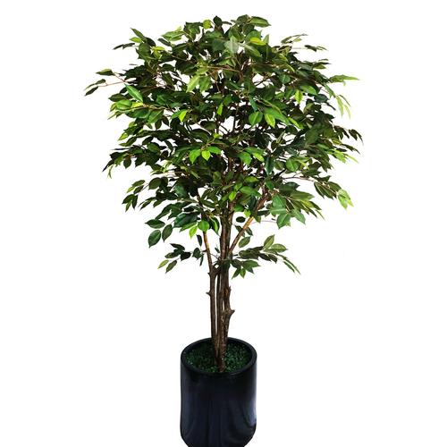 Promo FICUS 6 FT / POHON PALSU / TANAMAN ARTIFICIAL / POHON FICUS ...