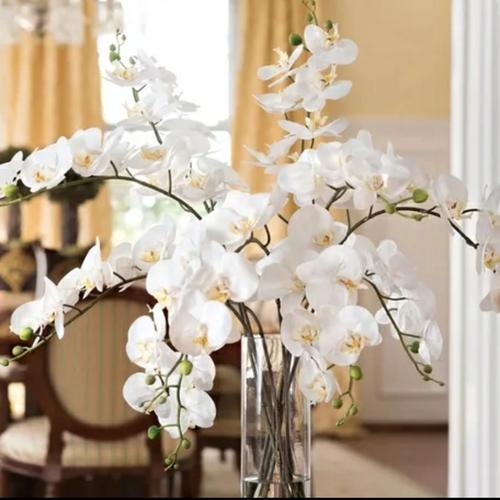 Jual Bunga Anggrek Artificial Latex Import (Real Touch)-White-9heads ...