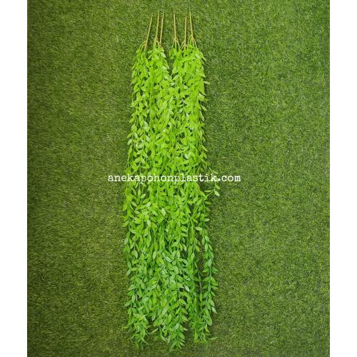 Jual Daun Rambat Juntai Gradasi Warna Hijau Muda Merah Tanaman ...