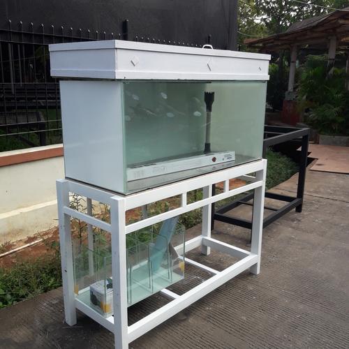Jual PAKET AQUARIUM 120X50X50 KACA FULL 8 KOMPLIT - Jakarta Selatan ...