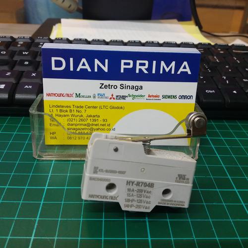 Jual Hanyoung Nux Limit Switch HY-R704B Roda Sedang 10A 250Vac 1NO 1NC ...