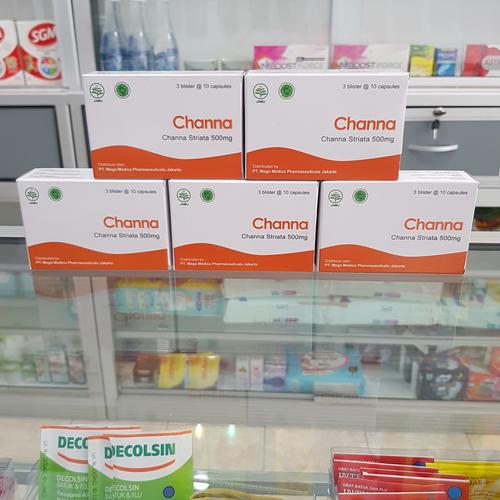Jual channa striata 500mg ekstrak ikan gabus per strip 10kapsul - Kab ...