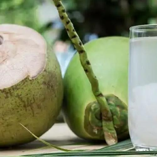 Jual Air Kelapa Muda Air Kelapa Ijo Fresh Original Coconut Grab Gojek ...