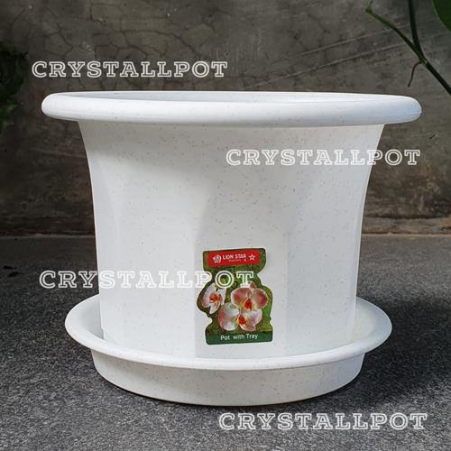 Jual pot bunga tanaman mawar 05 putih lionstar 16,5cm + tatakan putih ...