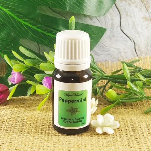 Jual Peppermint Essential Oil 100% Pure Minyak Daun Mint 10 ml ...