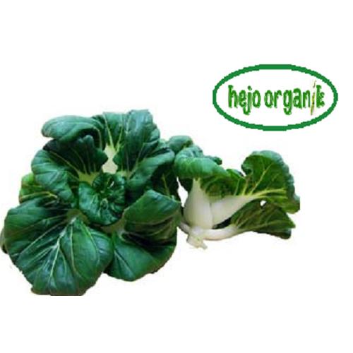 Jual NAIBAI MINI PAKCHOY SAYUR FRESH ORGANIK SEGAR BEBAS PESTISIDA GMO ...