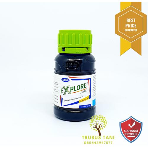 Jual Fungisida Sistemik Explore 250ec - 250ML (fungisida+ZPT) - bonus ...