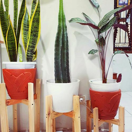 Jual standing pot kayu tanaman - 40cm - Kota Yogyakarta - GaduhCraft ...
