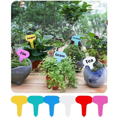 Jual Label Tanaman Isi 10 PCS - Name Tag Label Penanda Tanaman Bahan ...