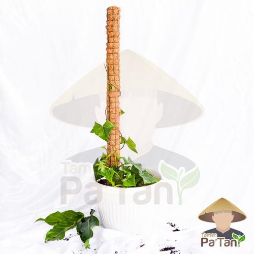 Jual tiang turus sabut kelapa rambat 100 cm - Kab. Cianjur - tokodesa ...