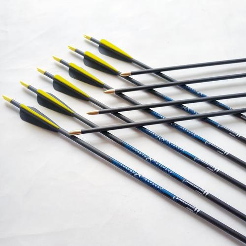 Jual Arrow Pure Carbon Express Predator Vanes Rubber / Arrow Carbon ...