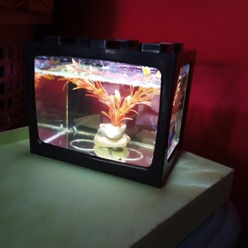 Jual Aquarium Mini Lego Block - Akuarium Ikan Hias Cupang Guppy Fish ...