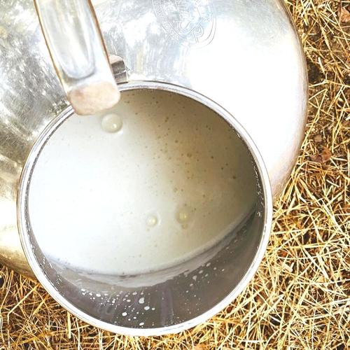 Jual fresh milk Susu segar asli murni mentah 1 liter kemasan plastik ...