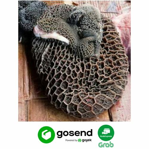 Jual BABAT SAPI SEGAR / JEROAN SAPI - Babat - Kota Tangerang Selatan ...