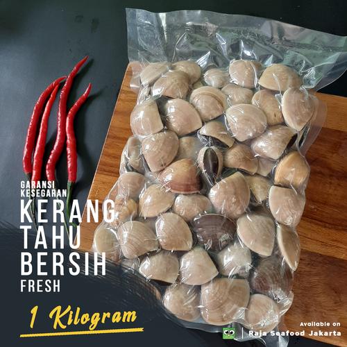 Jual Kerang Tahu Fresh 1 Kg/Kerang Kepa/Kerang Tahu segar - Jakarta ...