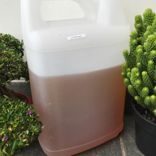 Promo madu asli hutan flores (NTT) uji lab... netto 5kg - label - Kab ...