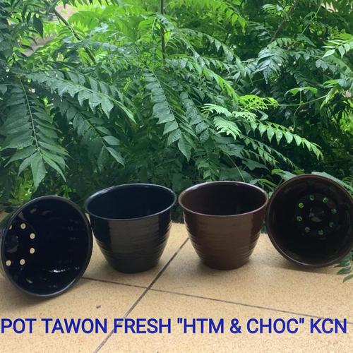 Jual Pot Bunga Tawon Fresh 15CM KCN - Hitam - Kota Batam - Liaorence ...