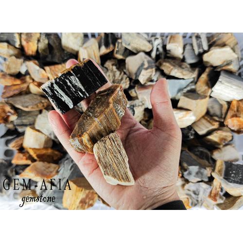Jual Bogkahan Batu Mentah Fosil Kayu - Petrified Wood BB-466 - Kota ...
