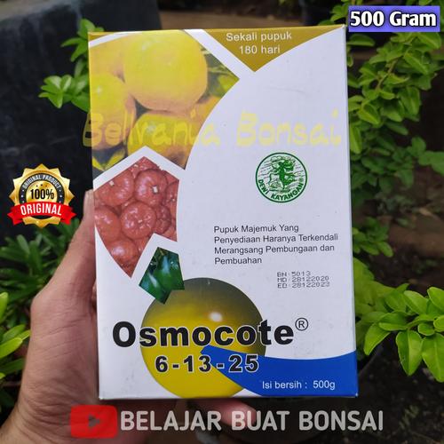 Jual Dekastar Osmocote 6-13-25 Pupuk Untuk Bunga Dan Buah 500 Gram ...