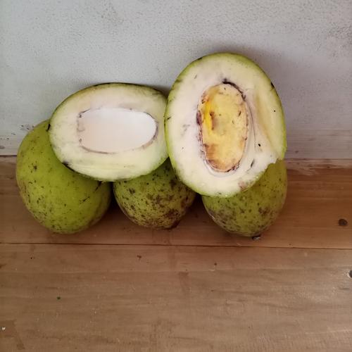 Jual buah bacang atou buah limus - Kab. Bandung Barat - Fitriherball92 ...