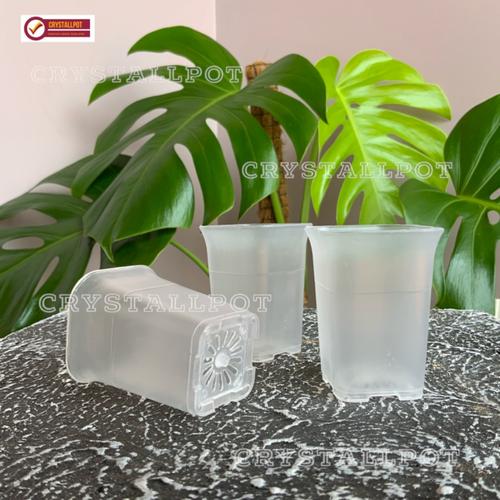 Jual pot bunga tanaman mini kotak bening transparan 5cm - nkt mini ...
