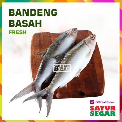 Jual IKAN BANDENG [500g] FRESH - Kota Depok - Sayur Segar | Tokopedia