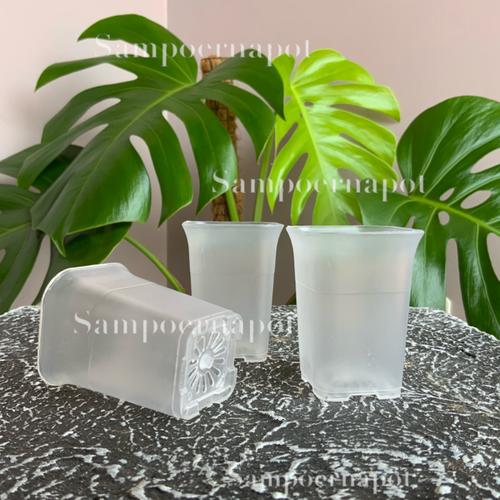 Jual pot bunga tanaman mini kotak bening transparan 5cm - nkt mini ...