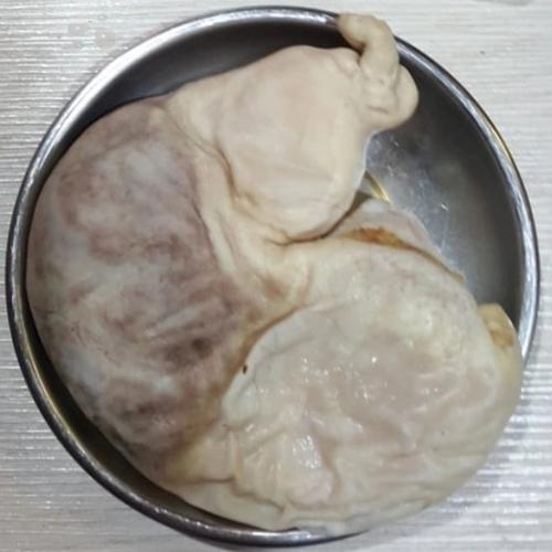 Jual lambung babi / perut babi / tito / cutu sudah bersih dan siap ...