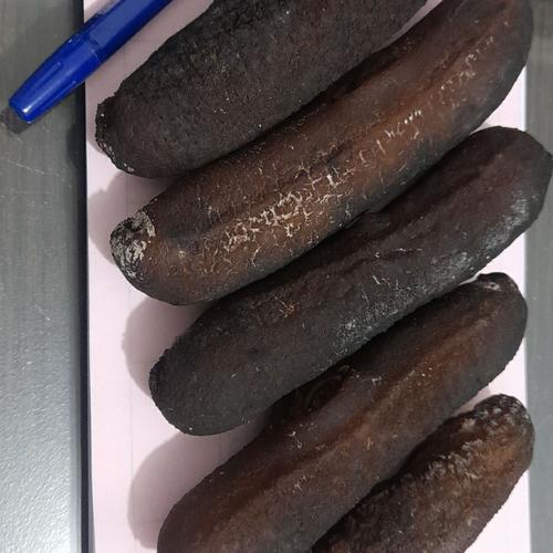 Jual TERIPANG / SEA CUCUMBER / HAISOM GOSOK 15/20 KERING - Kota ...