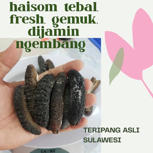 Jual haisom teripang gosok kering isi 7-10/130gr HARGA PROMO IMLEK GAN ...