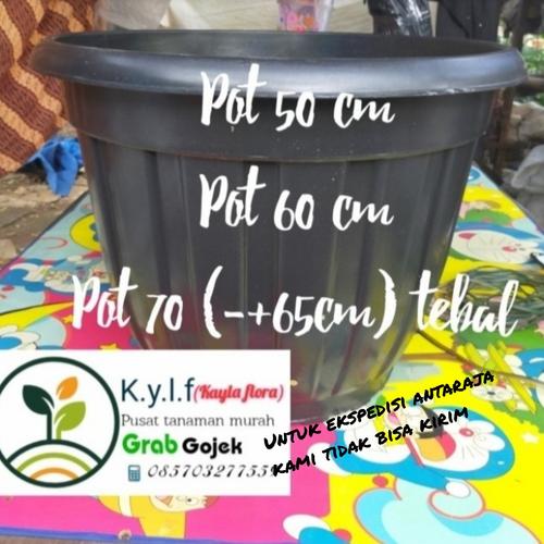 Jual pot besar 70 / pot plastik / pot tanaman / pot / pot bunga / pot ...