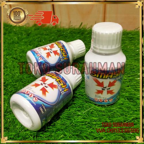 Jual Insektisida Smash 100 ml Spray Fogging Bisa Nyamuk Lalat kecoa ...