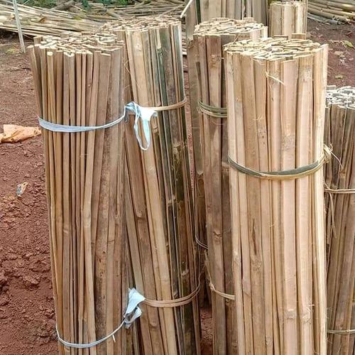 Jual lanjaran bambu/penyangga tanaman 70cm - Kab. Bogor - novytaman ...
