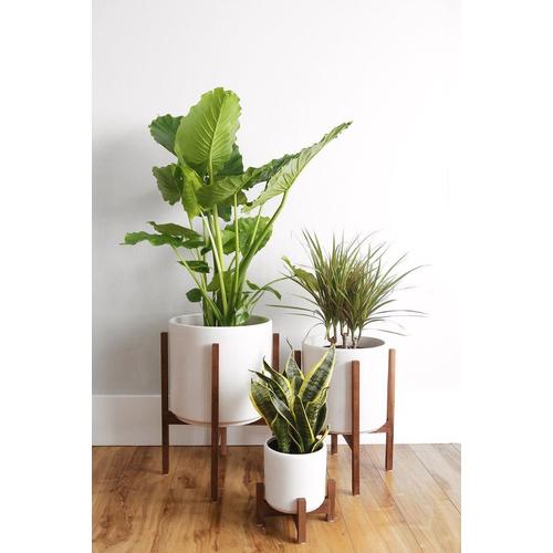 Promo Standing pot kayu tanaman bunga warna walnut - 10x10 - Kab ...