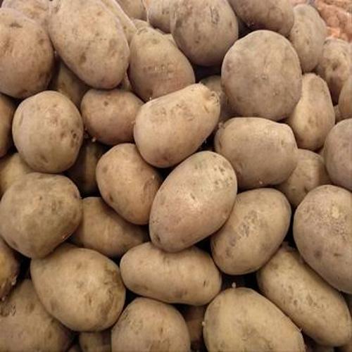 Jual kentang Dieng curah/1kg - Jakarta Timur - Pasar induk kramatjati ...