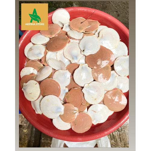 Jual Kerang simping scallop utuh 1kg - 500gr - Kota Bandung ...