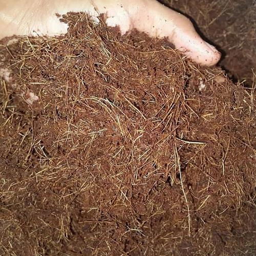 Jual Sabut Kelapa Cocopeat Per 1 Kg Original - Kab. Pangandaran ...