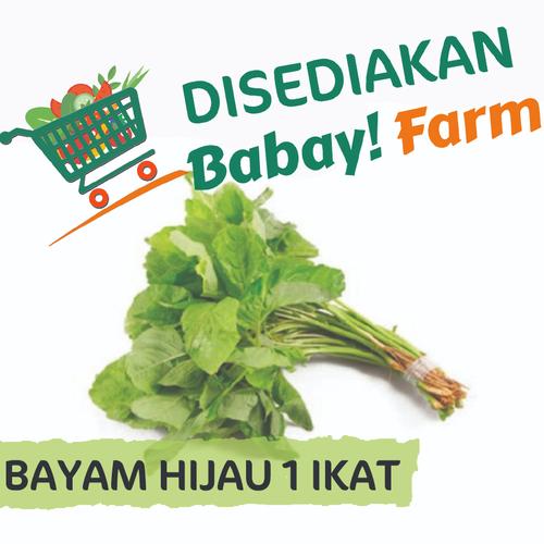 Jual Bayam Hijau 1 ikat - Kota Surabaya - Babay Farm Surabaya | Tokopedia