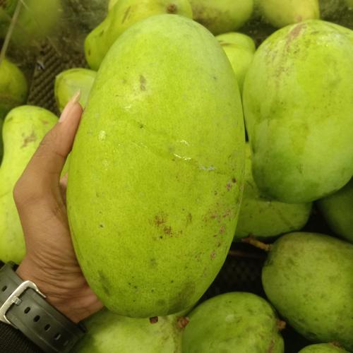 Jual BUAH MANGGA BUDI RAJA FRESH - 2kg - Jakarta Barat - kios buah ...