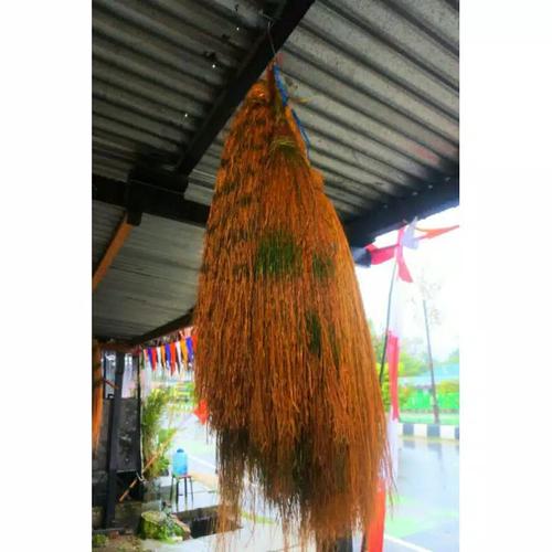 Jual Rok rumbai papua/pakaian adat papua - Kab. Sorong - Toko oleh2 ...