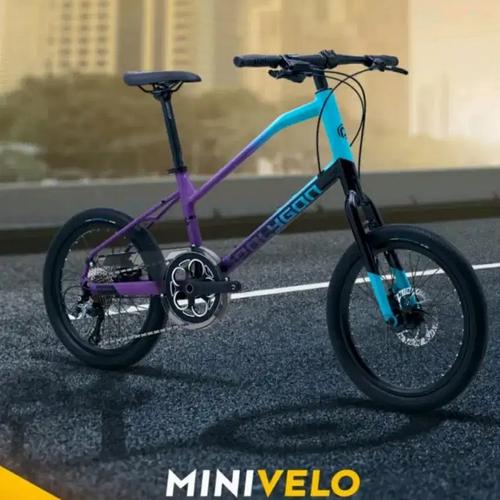 Jual Polygon Zeta mini velo 2021 Sepeda Gunung Balap Listrik - Kota ...
