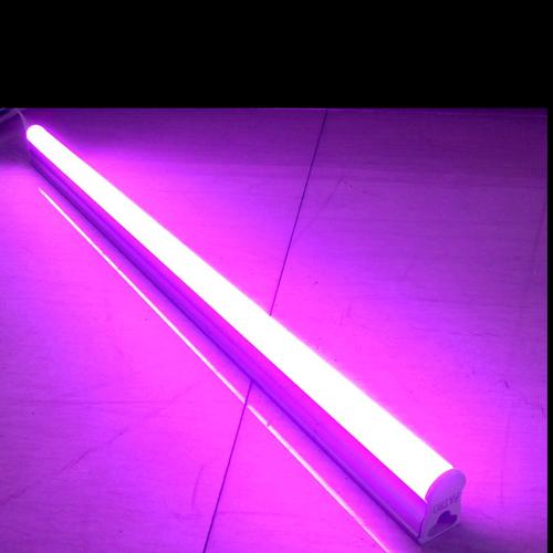 Promo Lampu led t5 batten neon pink 18 watt merah muda T5 pink 18watt ...