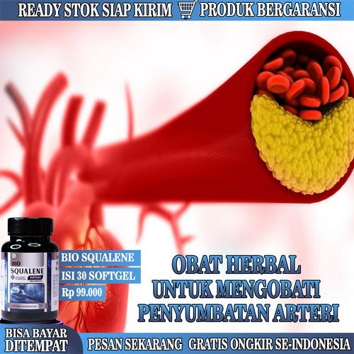 Jual Obat Herbal Untuk Penyumbatan Arteri, Penyumbatan Pembuluh Darah ...