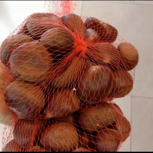 Jual kacang chestnut 1kg - Jakarta Selatan - BOTIMART99 | Tokopedia