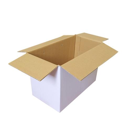 Jual Box Putih Polos Dus File Mini Kotak Kemasan Buku Ukuran 26x14x19cm ...