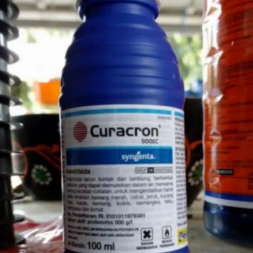 Jual insektisida pembasmi kutu curacorn original termurah sejabodetabek ...