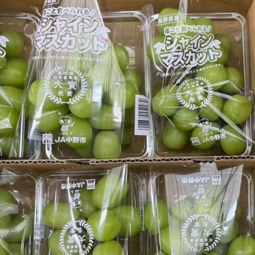Jual Anggur muscat Green sugar Fresh Japan / Pack - Jepang - Jakarta ...