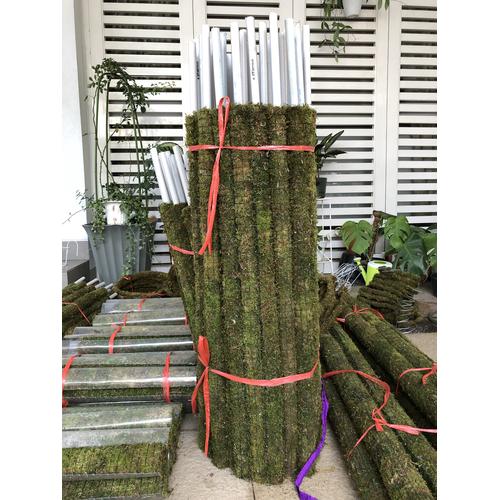 Jual Turus Lumut Pipa | Penyangga Tanaman - 60cm - Jakarta Timur ...