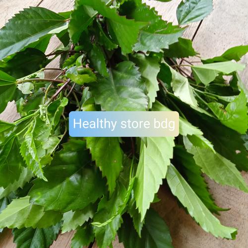 Jual Daun Bunga Sepatu Atau Kembang Sepatu Segar 1 Kg - Kab. Bandung ...